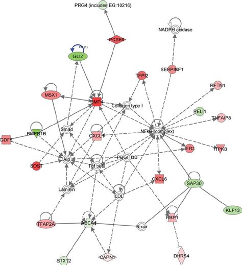 Top Scoring Ingenuity Pathways Analysis Functional Network The 193