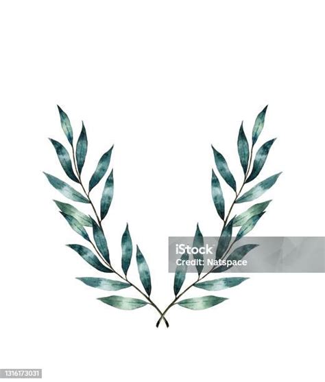 월계수 화환 녹색 잎프레임 흰색 배경에 격리 된 수채화 손 그린 그림 그리기에 대한 스톡 벡터 아트 및 기타 이미지 그리기 기념일 꽃 식물 Istock