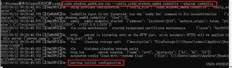 Windows服务nssm与caddy2反向代理caddy Windows Csdn博客
