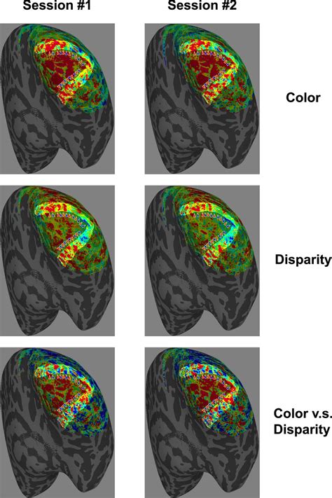 Figures And Data In Mesoscale Functional Organization And Connectivity
