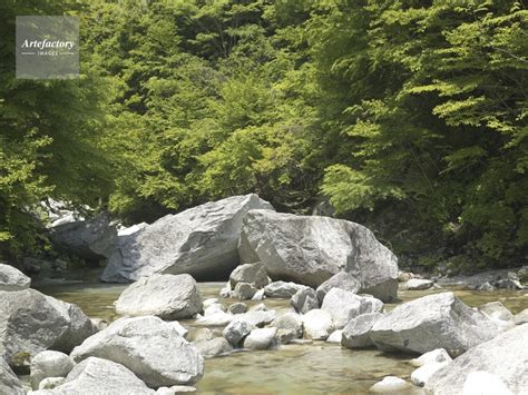 新緑の尾白川渓谷 名水百選