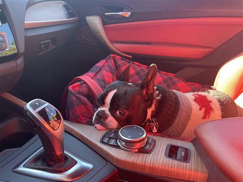 Warning Copilot May Leave Tongue Prints On Interior Rbmw