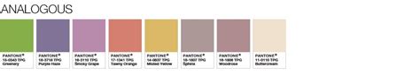 PANTONE COLOR OF THE YEAR Pantone