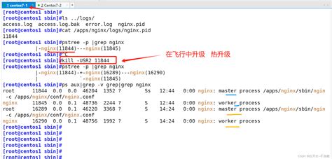 Nginx 高性能的 Web服务端 Nginx编译安装 、平滑升级（一）nginx升级 Csdn博客