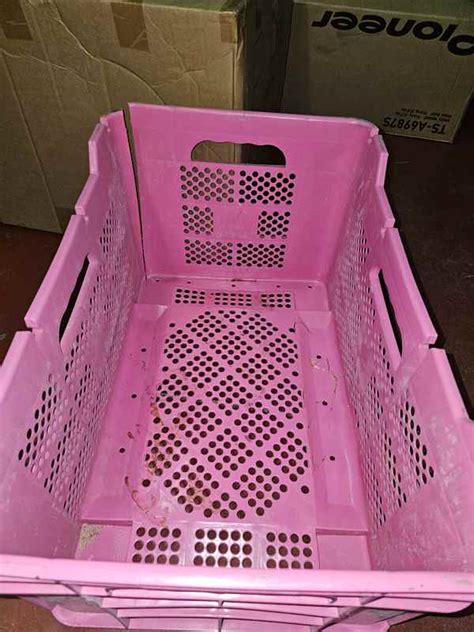 ארגזים מפלסטיק ארגזי פלסטיק