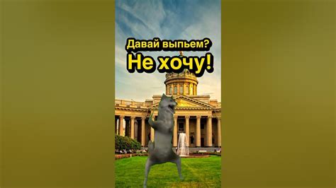 Перевод ИХФИЛЬНИХТ 😂 Как вам? #shorts #ихвильнихт - YouTube