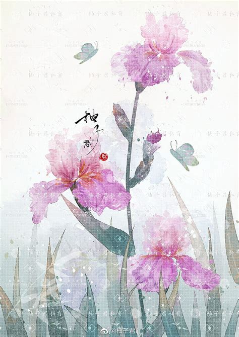 柚子君 鸢尾花