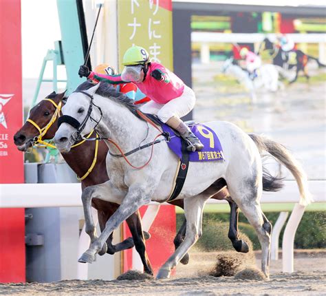 【東京大賞典】オメガパフューム4連覇 Mデムーロ騎手「素晴らしい馬です」 スポーツ報知