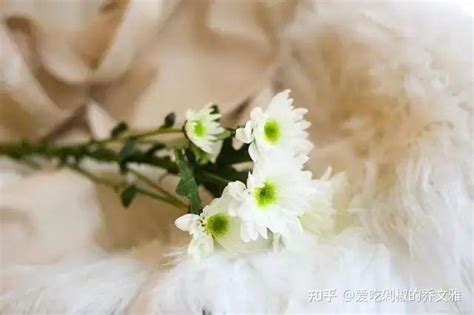 男人在这两方面喜欢你，往往不是喜欢你，而是心里真的爱你 知乎