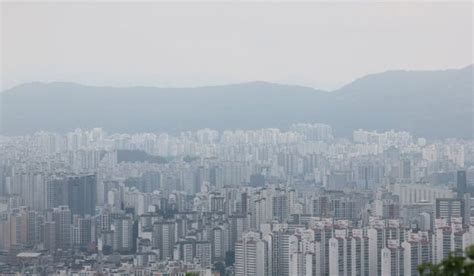 건설업계 분양 재가동분양시장 봄바람 기대 네이트 뉴스