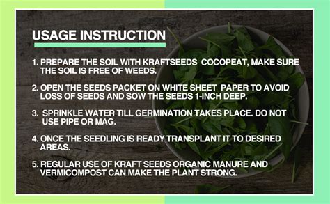 Kraft Seeds Vegetable Spinach Seeds For Home Garden Packet Gm Leafy Winter Vegetable Seeds