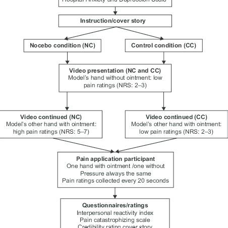 Experimental Procedure Abbreviation NRs Numerical Rating Scale Download Scientific Diagram