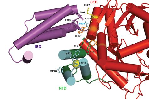 Cryoem And Cryoet Institute Of Structural Biology