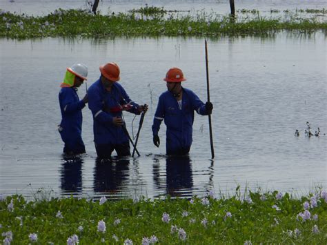 Analogue Dcvg Set Constituents Dcvg Ltd