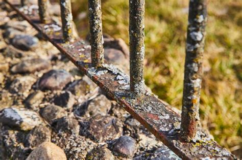 Premium Photo Rustic Iron Fence Texture With Lichen At Cemetery