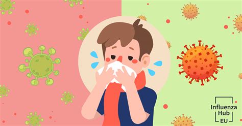 Influenza And RSV What Are The Differences The Influenza Hub