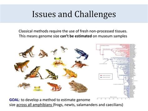 Genome Size Estimation By Qpcr 2016 Sevinomics Ppt