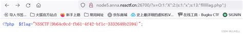 Swpuctf 2022 新生赛 Ez1zpopphp反序列化之pop链构造 Csdn博客