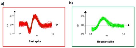 ai can reliably determine what visual stimuli neurons in the visual