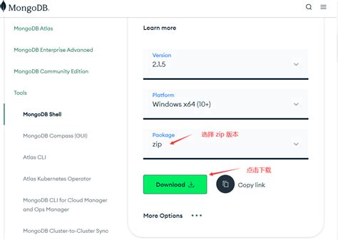 Mongodb Compass Arry
