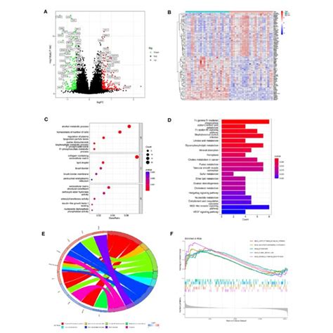 Screening Diagnostic Biomarkers Based On Machine Learning A B The