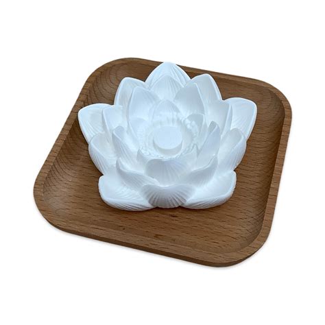 Passive Diffuser Plant Therapy Frae Everyday Goods