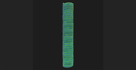 Microtubules Inspirit