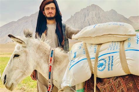 India Donates 10000 Metric Tonnes Of Wheat To Afghanistan As It Faces