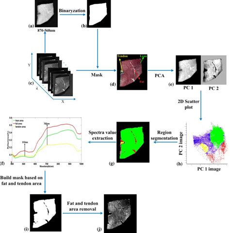 Image Segmentation And Spectral Information Extraction Download