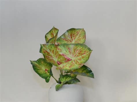 Fake Caladium Bicolor With Root Artificial Flowers Tropical Plant