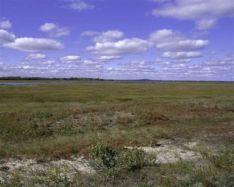 Free Picture Tropical Fields