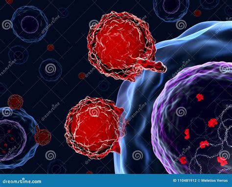 T Cells Attacking Human Cells With Crispr Cas9 System Stock