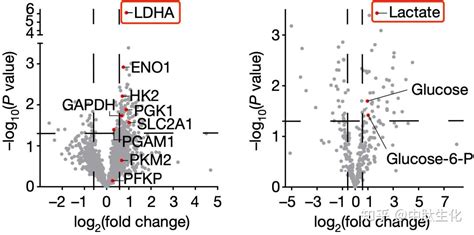 《自然》：乳酸竟成癌细胞“保护伞”！中山大学团队发现，乳酸会促进癌细胞修复dna损伤，帮助癌细胞抵抗放化疗 知乎