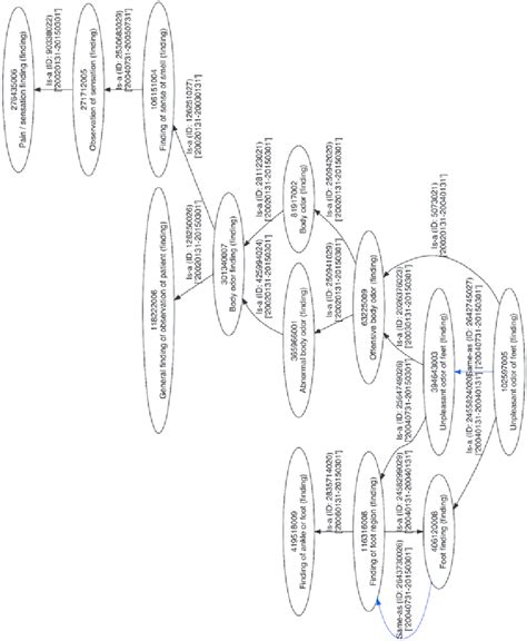 2 Partial Historical Subsumption Hierarchy Of The Snomed Ct Concept Download Scientific
