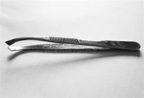 A Tool Used To Pick Up Tiny Objects Amya Has Steele