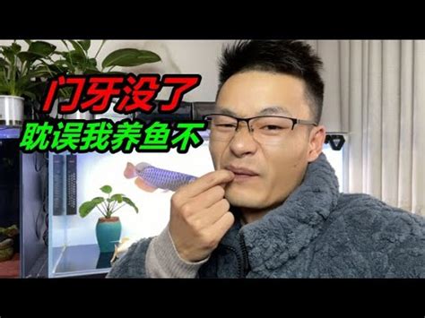 天天就顧著養魚牙疼了好久都沒管今天終於把它拔了 水族 猛魚 YouTube