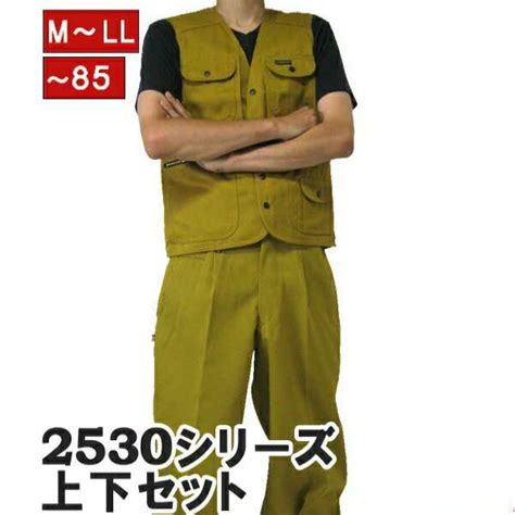 作業着 作業服 寅壱 寅一 ベスト × 超超ロング八分 2530s611418 グレー 上下セット 作業ズボン ニッカポッカ 安全・保護用品