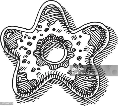 Cookie Sketch Photos And Premium High Res Pictures Getty Images