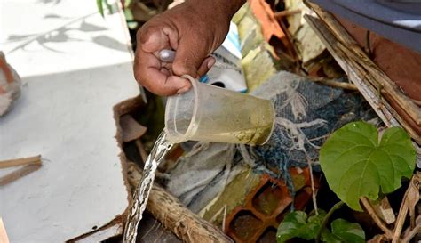 Jundiaí intensifica ações de combate à dengue
