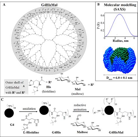 Figure 1 From Polypropylene Imine Dendrimers With Histidine Maltose