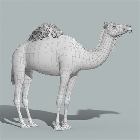 Camel 3d Model 149 Max Fbx Obj Free3d