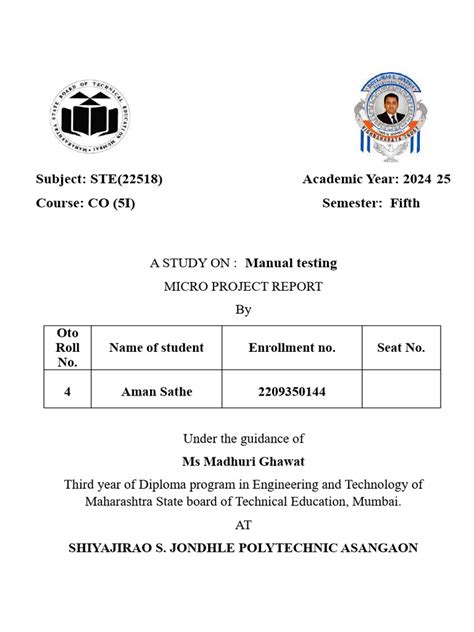 Ste3 Pdf Software Testing Usability