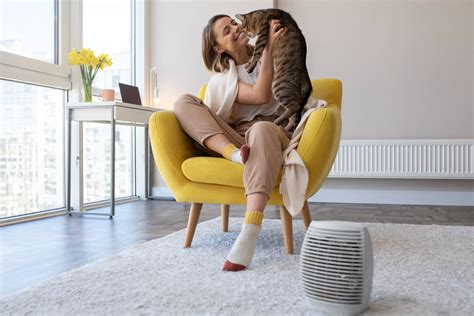 Pros And Cons Of Different Types Of Humidifiers Blogpro Co Uk