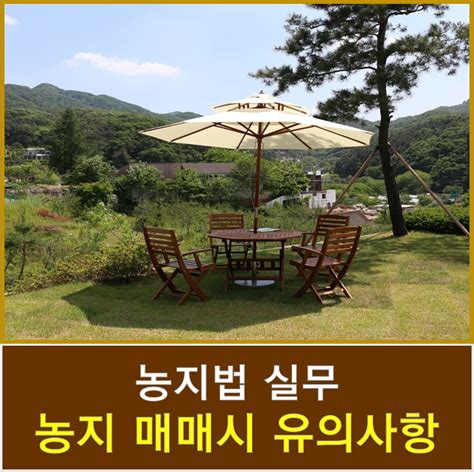 농지 구입시 반드시 알아야 할 사항 농지법 실무 네이버 블로그