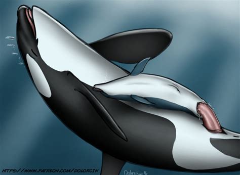 Rule 34 Animal Genitalia Anus Bubble Cetacean Cum Dolorcin Duo Female