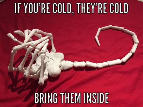 If Youre Cold Theyre Cold Meme Guy