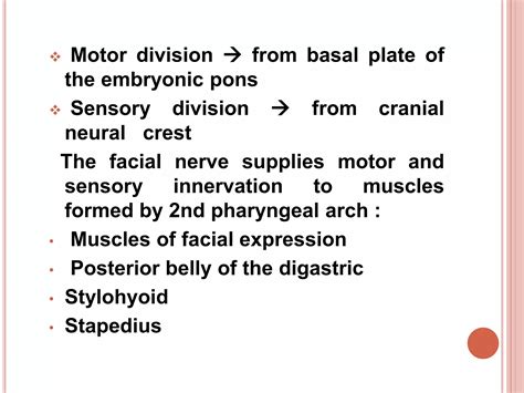 Facial Nerve Anatomy Pptx