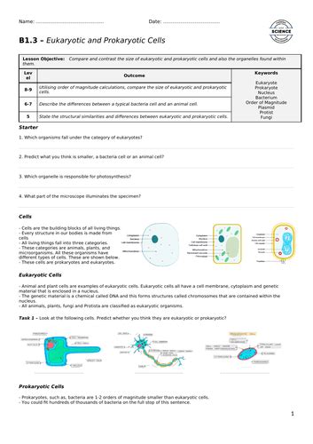 B13 Eukaryotic And Prokaryotic Cells Aqa Gcse Teaching Resources