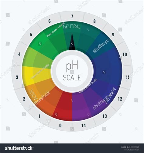 ph scale. ph scale infographic. pH value scale - Royalty Free Stock Vector 2359937305 - Avopix.com
