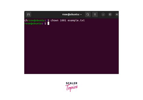 Chown Command In Linux With Examples Scaler Topics